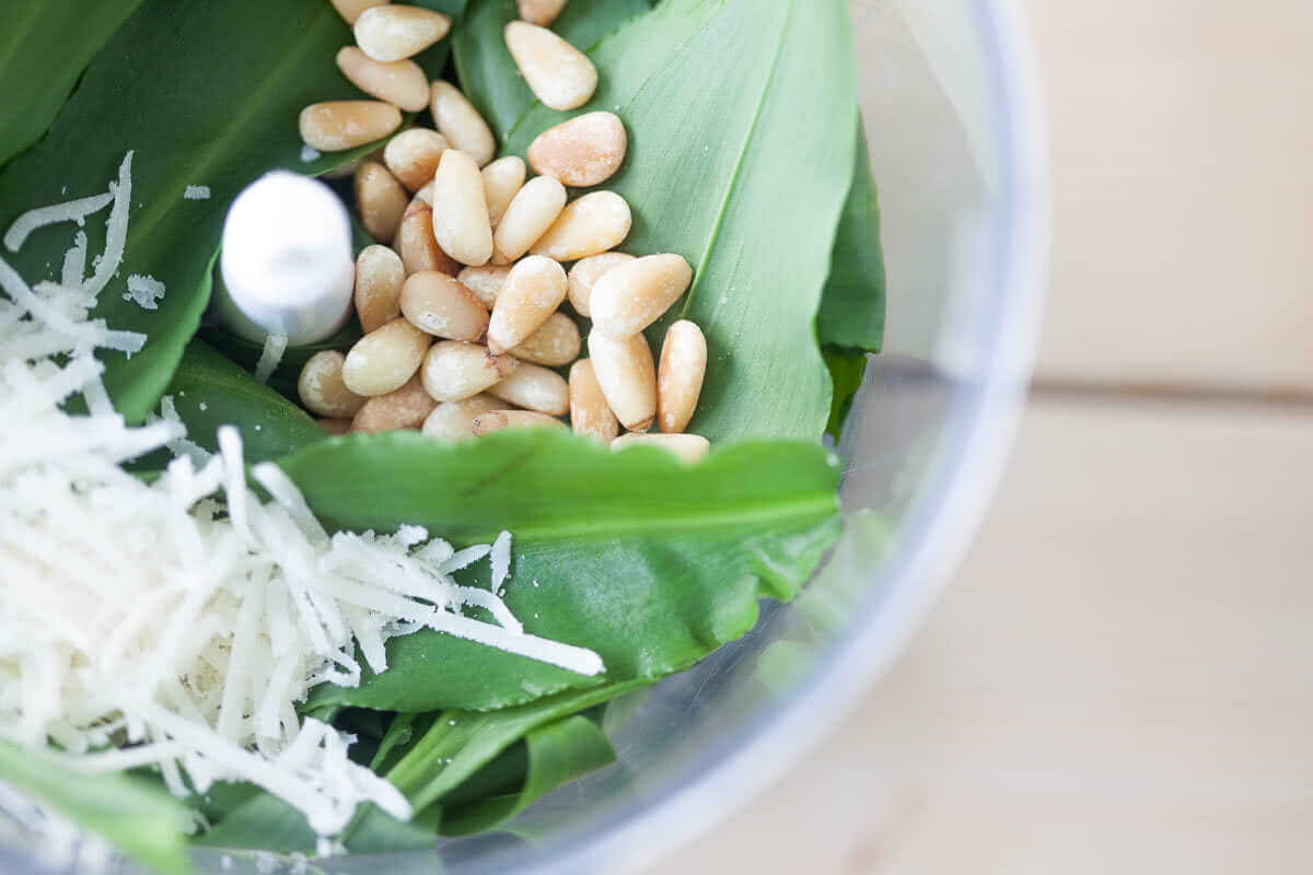 Wild Garlic Pesto - Vibrant plate
