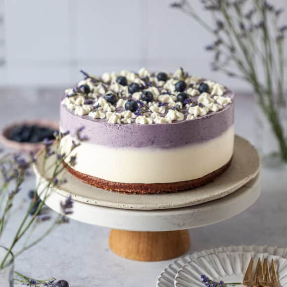 Blueberry Cake with Quark Cream - Vibrant plate