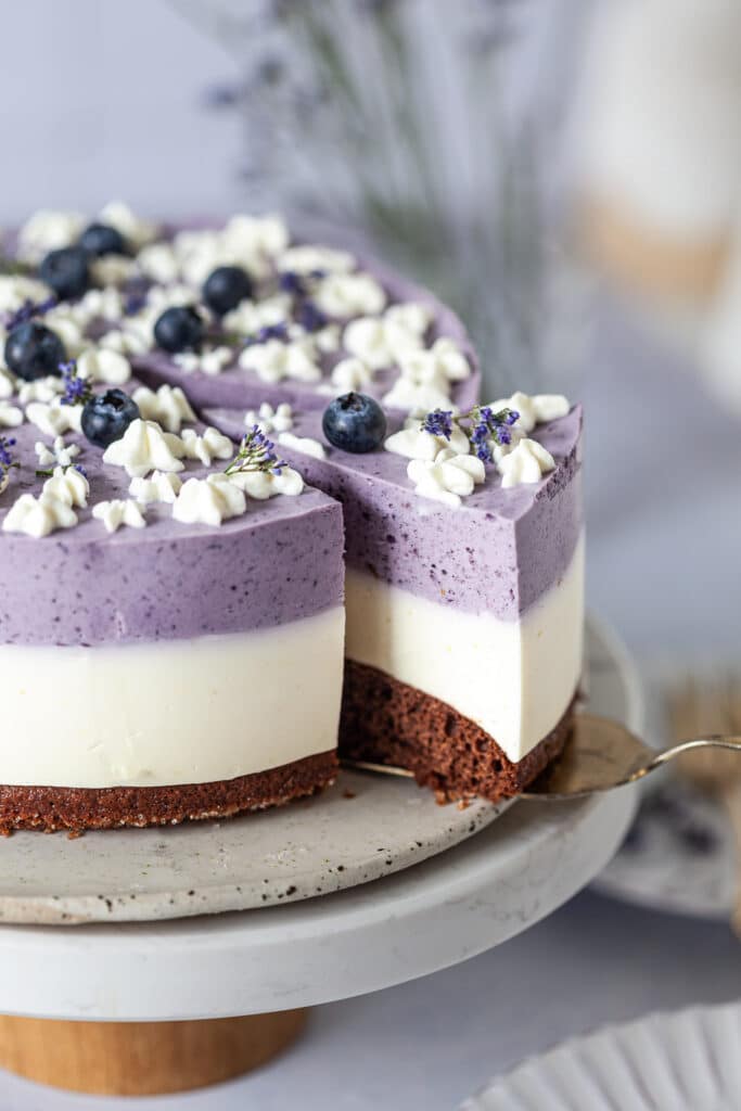 Blueberry Cake with Quark Cream - Vibrant plate