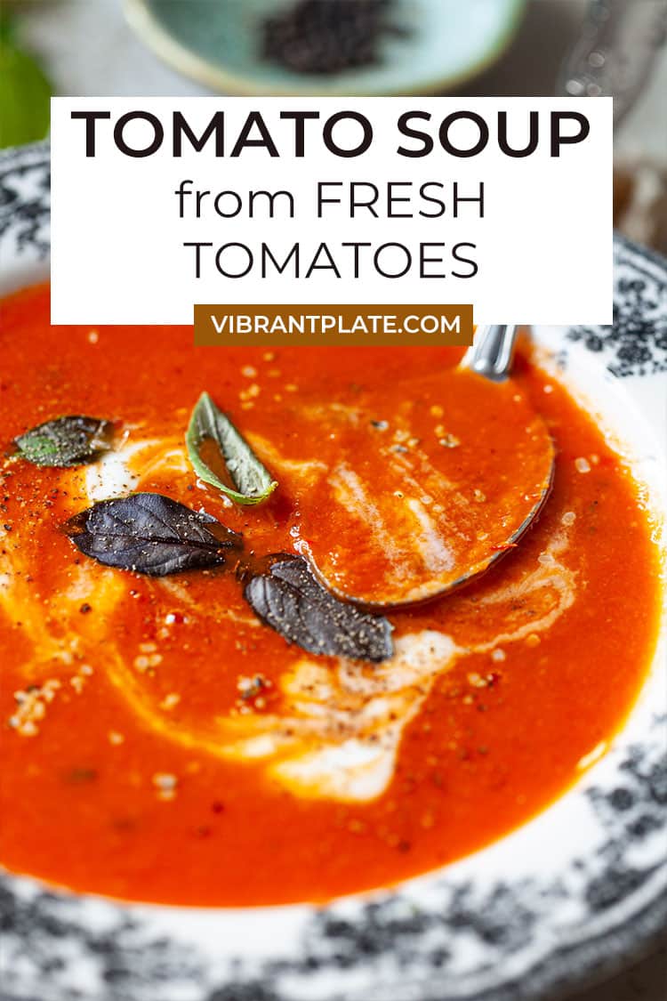Tomato Soup from Fresh Ripe Tomatoes - Vibrant plate