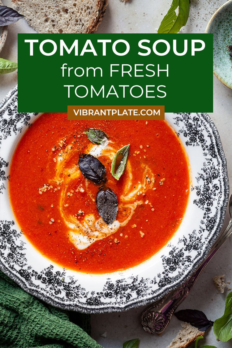 Tomato Soup from Fresh Ripe Tomatoes - Vibrant plate