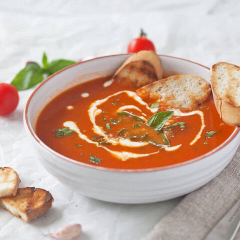 Tomato Soup from Fresh Ripe Tomatoes - Vibrant plate