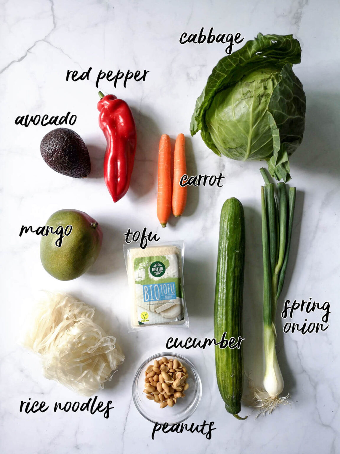 Vegan Spring Roll Noodle Bowl - Vibrant plate