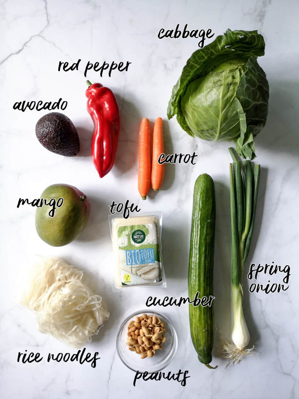 Vegan Spring Roll Noodle Bowl - Vibrant plate
