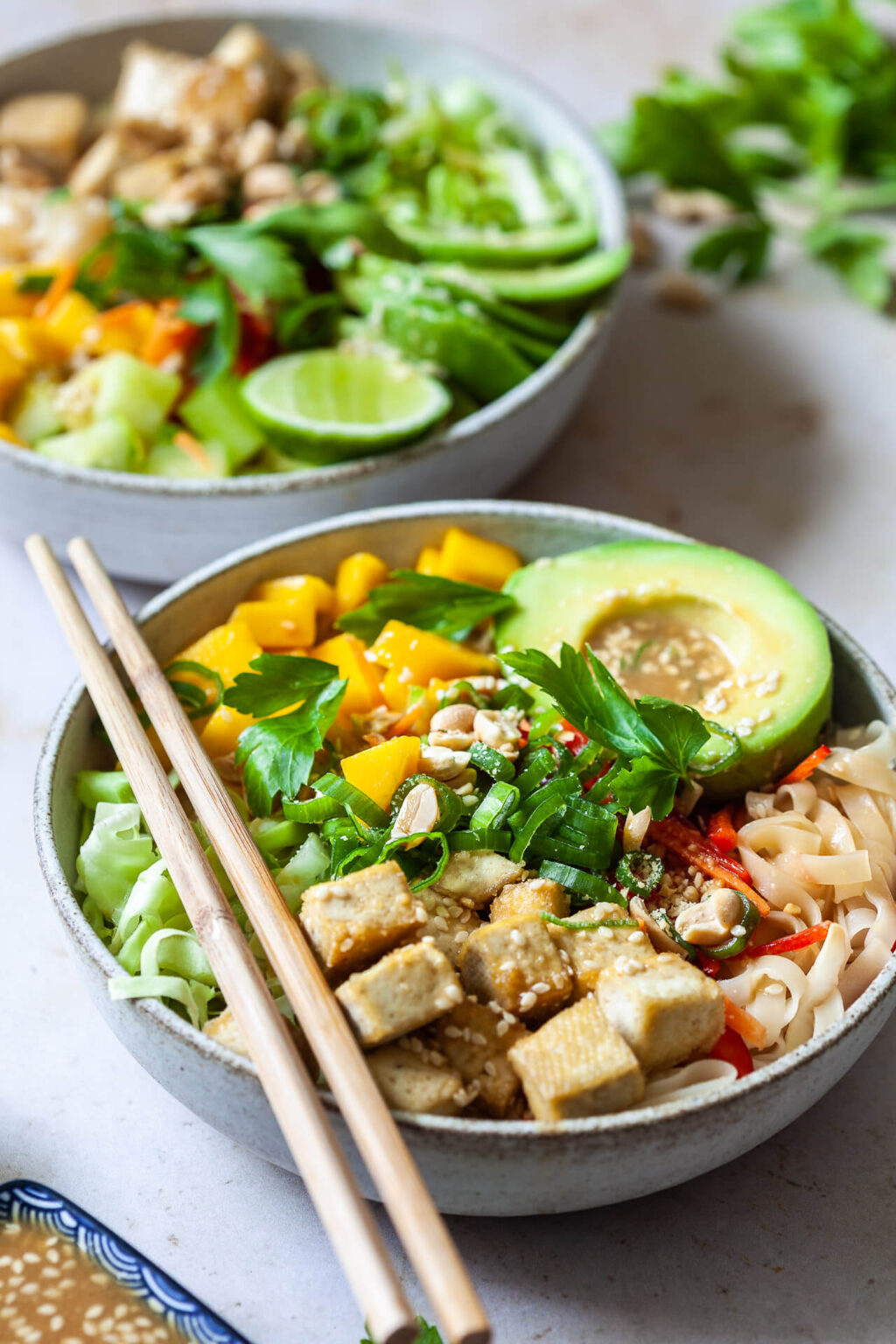 Vegan Spring Roll Noodle Bowl - Vibrant plate