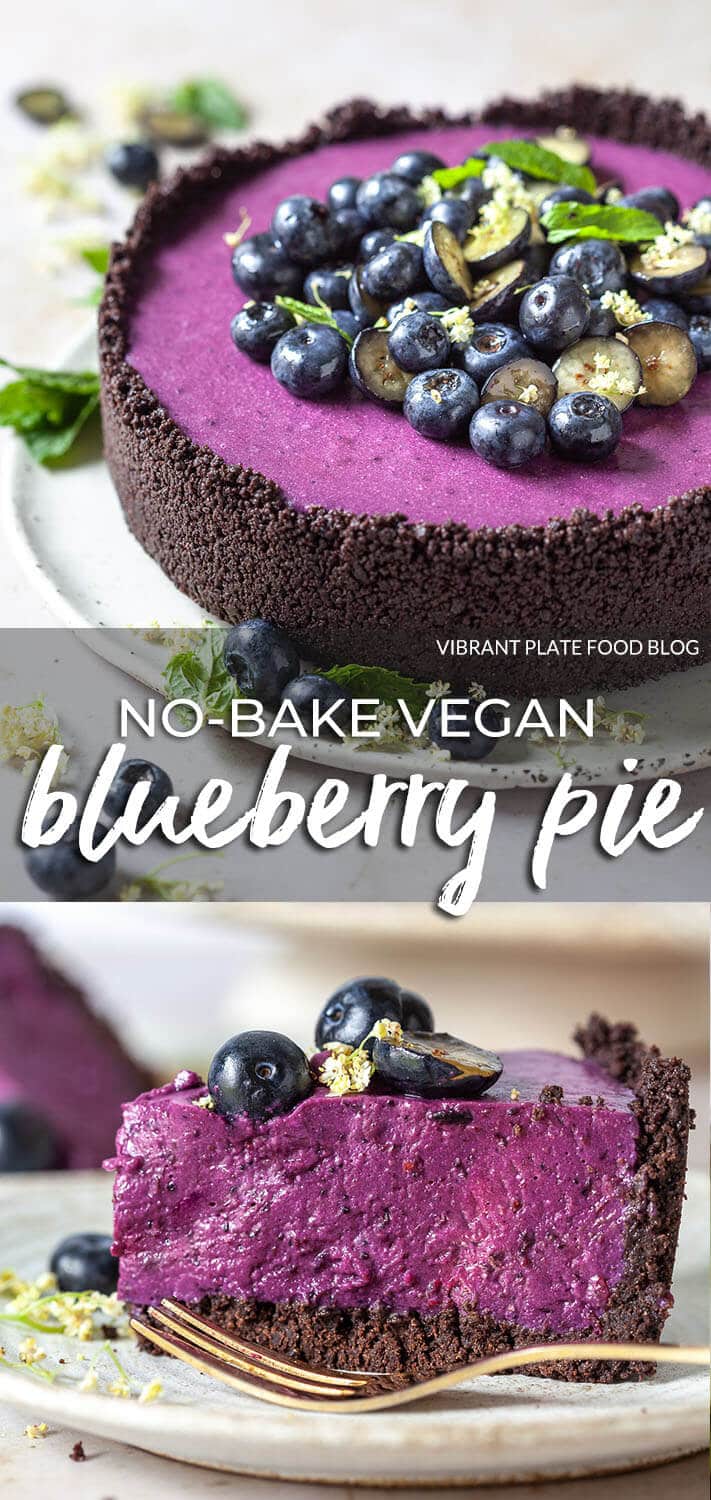 No-Bake Vegan Blueberry Pie - Vibrant plate