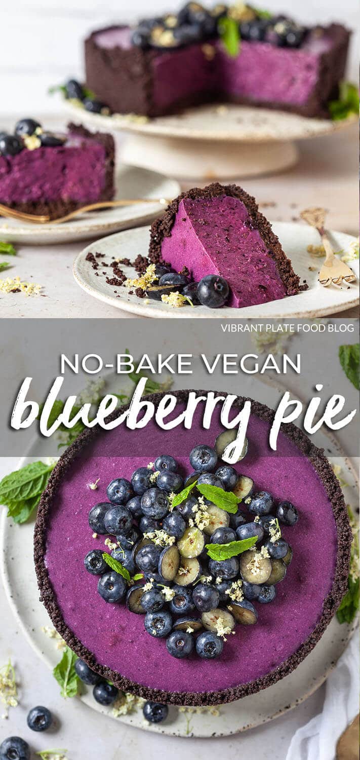 No-Bake Vegan Blueberry Pie - Vibrant plate
