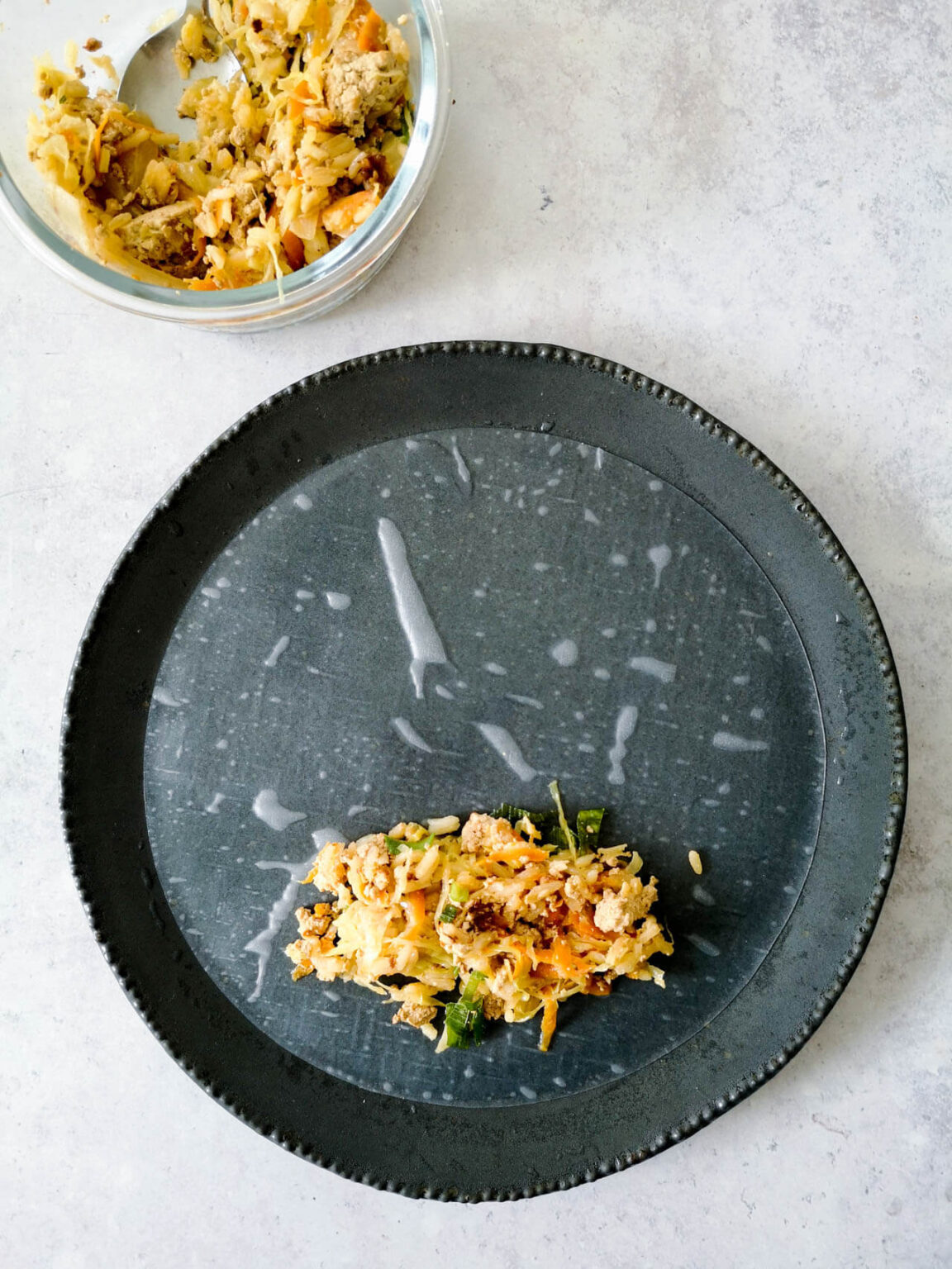 Crispy Pan-Fried Tofu Spring Rolls - Vibrant plate