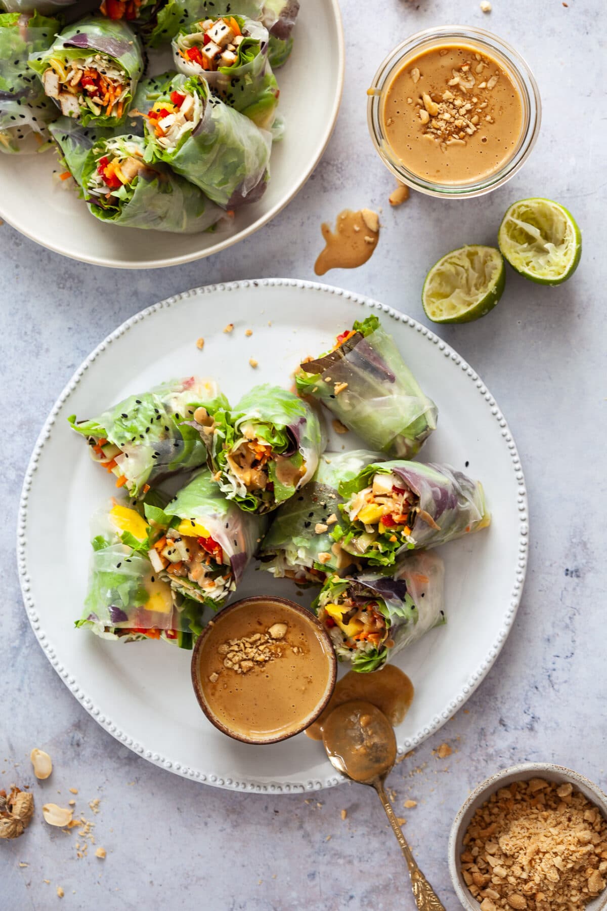 Fresh Vegan Rainbow Spring Rolls - Vibrant plate