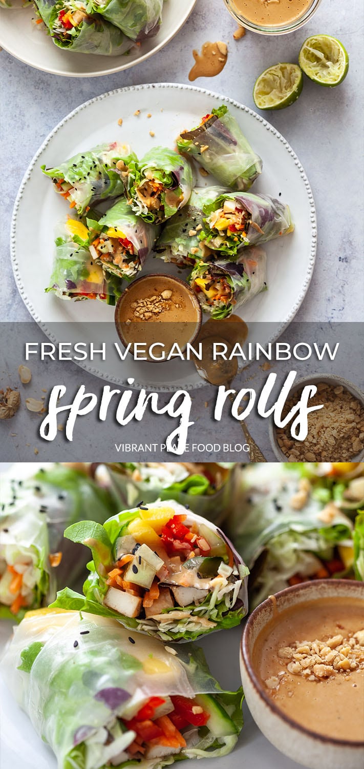 Fresh Vegan Rainbow Spring Rolls - Vibrant plate