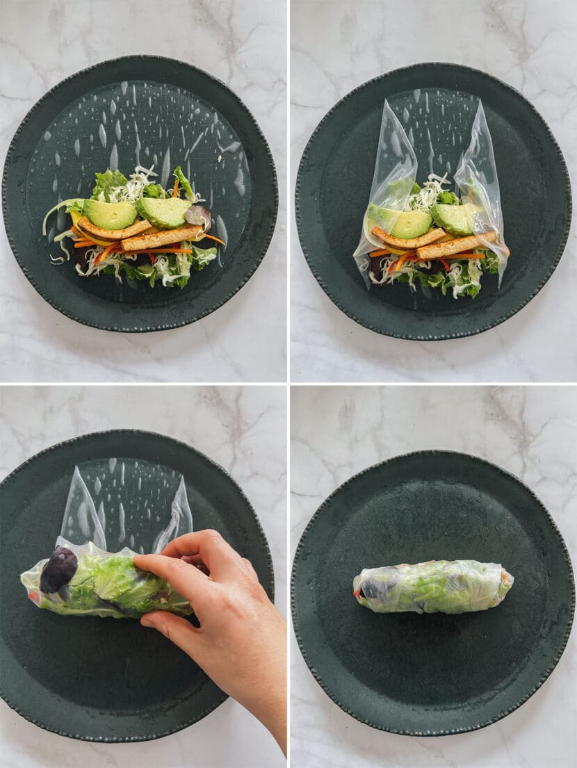 Fresh Vegan Rainbow Spring Rolls - Vibrant plate