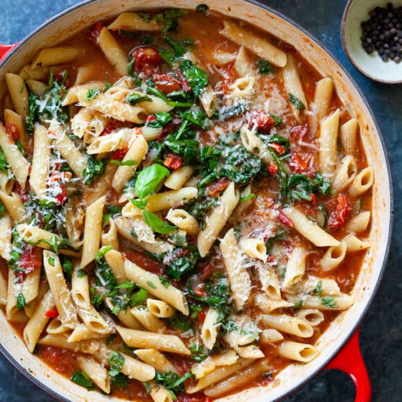 One-Pot Vegan Tomato Pasta - Vibrant plate