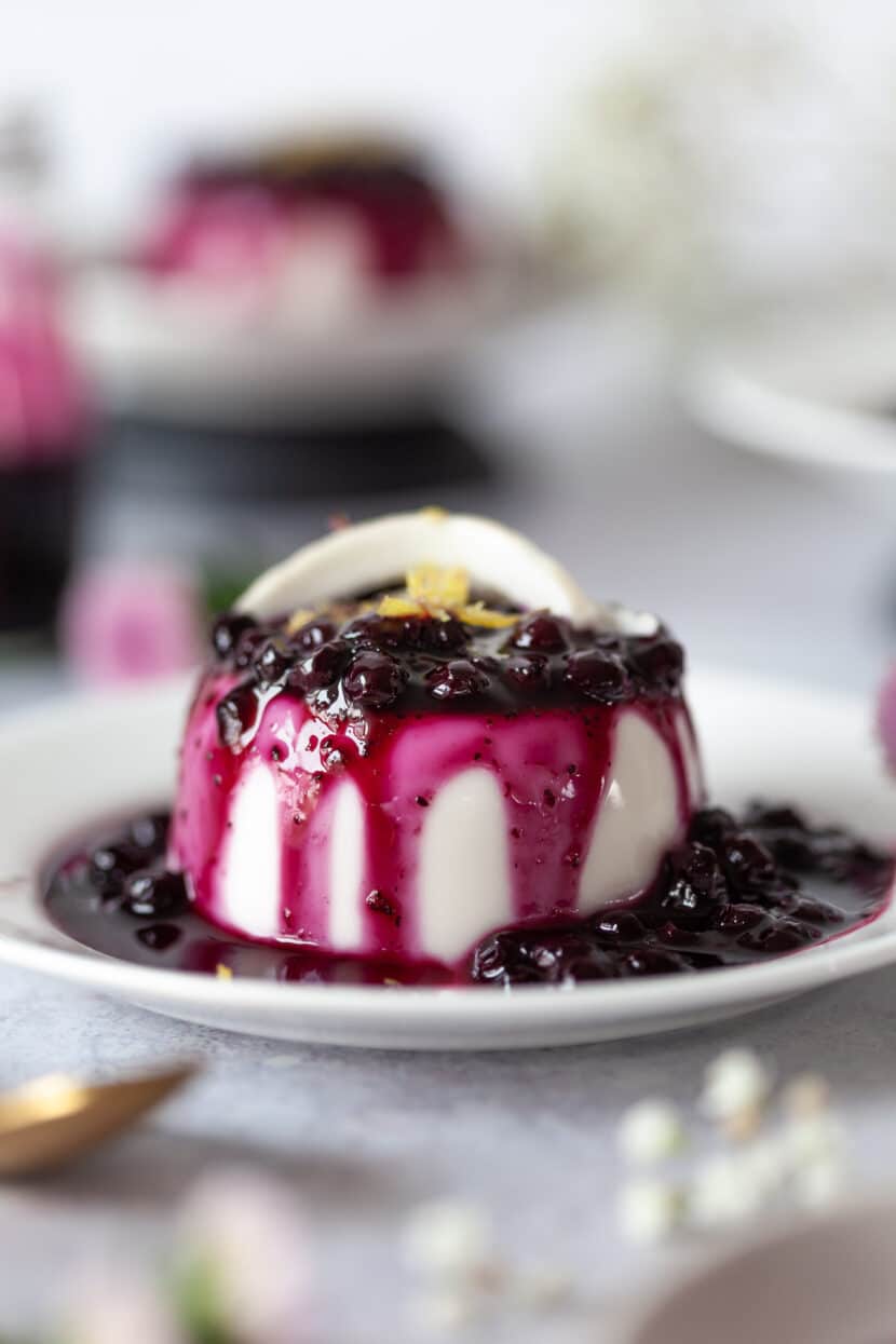 Vegan Panna Cotta with Blueberries - Vibrant plate