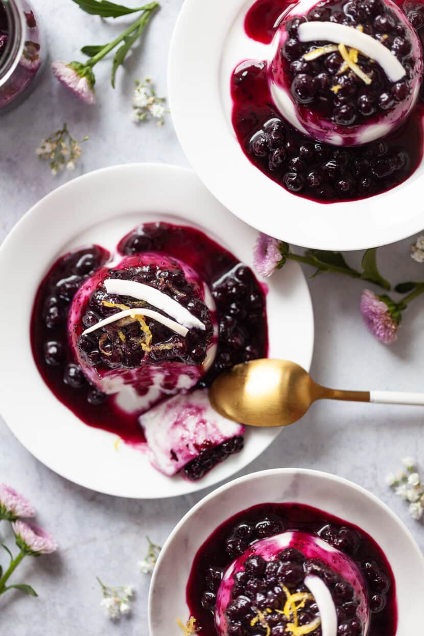 Vegan Panna Cotta with Blueberries - Vibrant plate