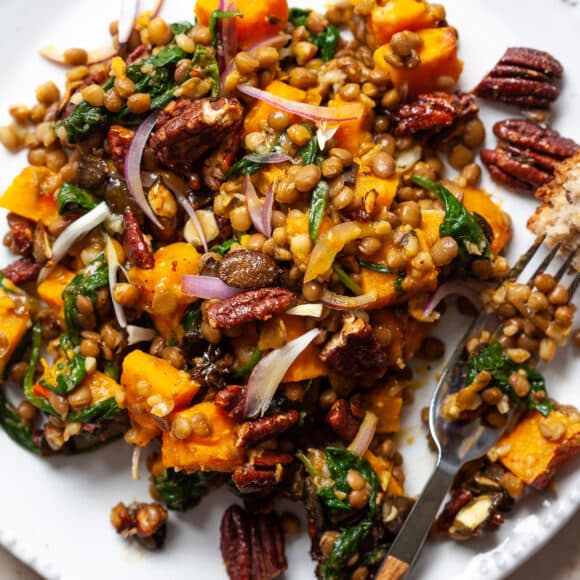 Roast Pumpkin and Lentil Salad - Vibrant plate