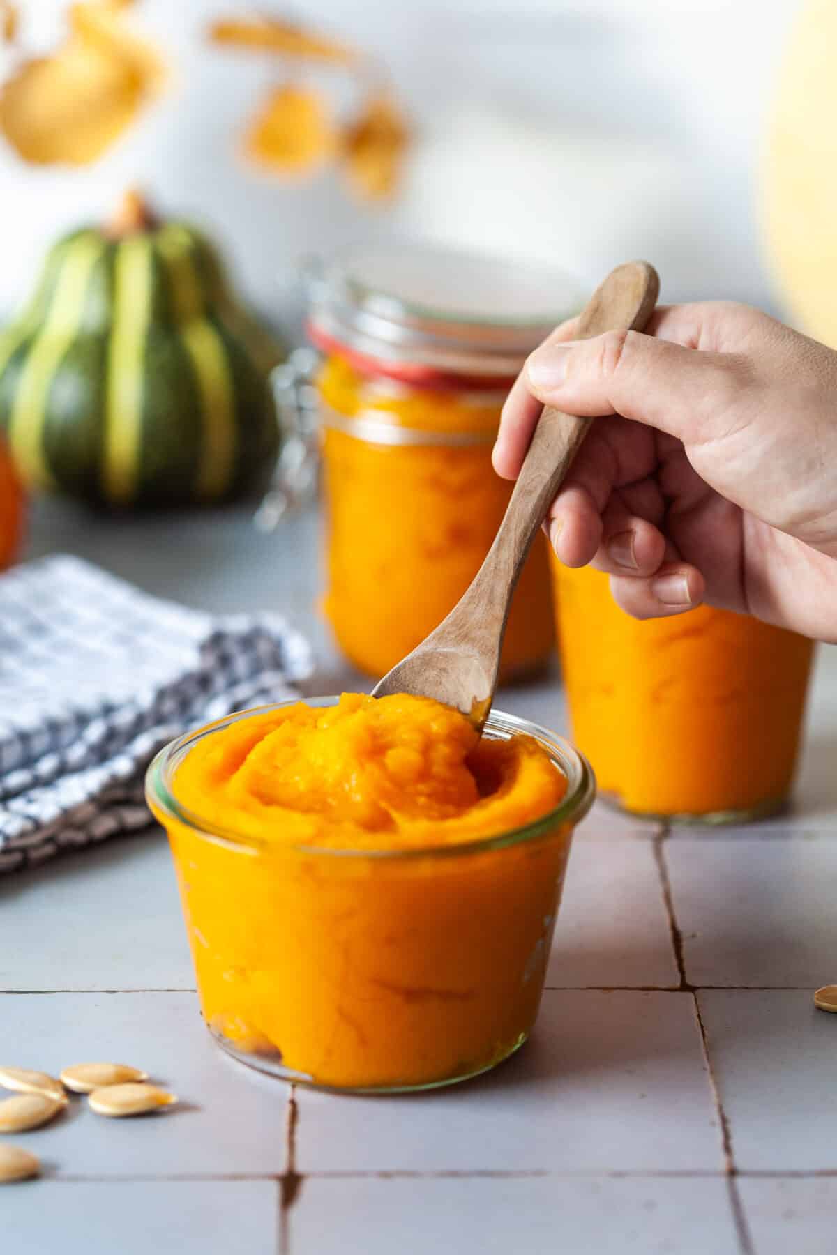 Homemade Pumpkin Puree - Vibrant plate