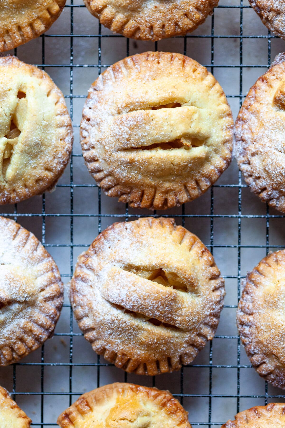 Homemade Apple Hand Pies - Vibrant plate