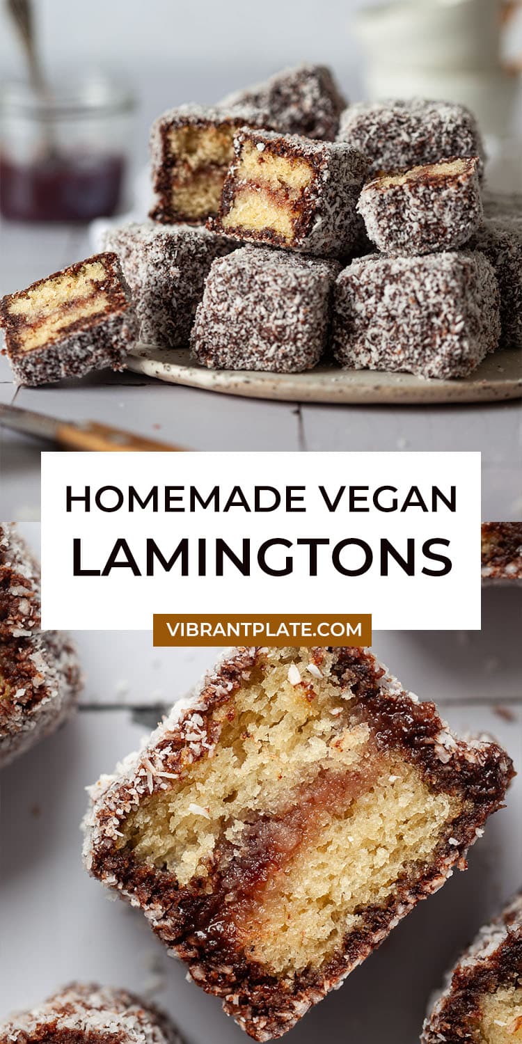 Homemade Vegan Lamingtons - Vibrant plate