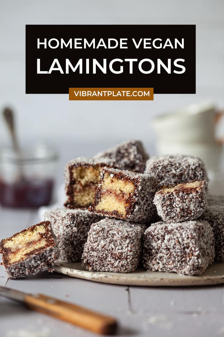 Homemade Vegan Lamingtons - Vibrant plate