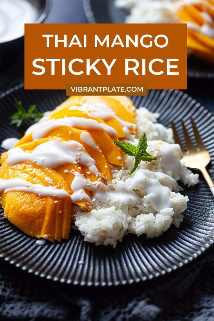 Thai Mango Sticky Rice - Vibrant plate