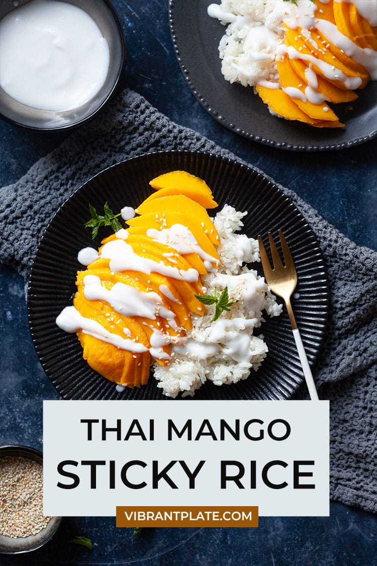 Thai Mango Sticky Rice - Vibrant plate