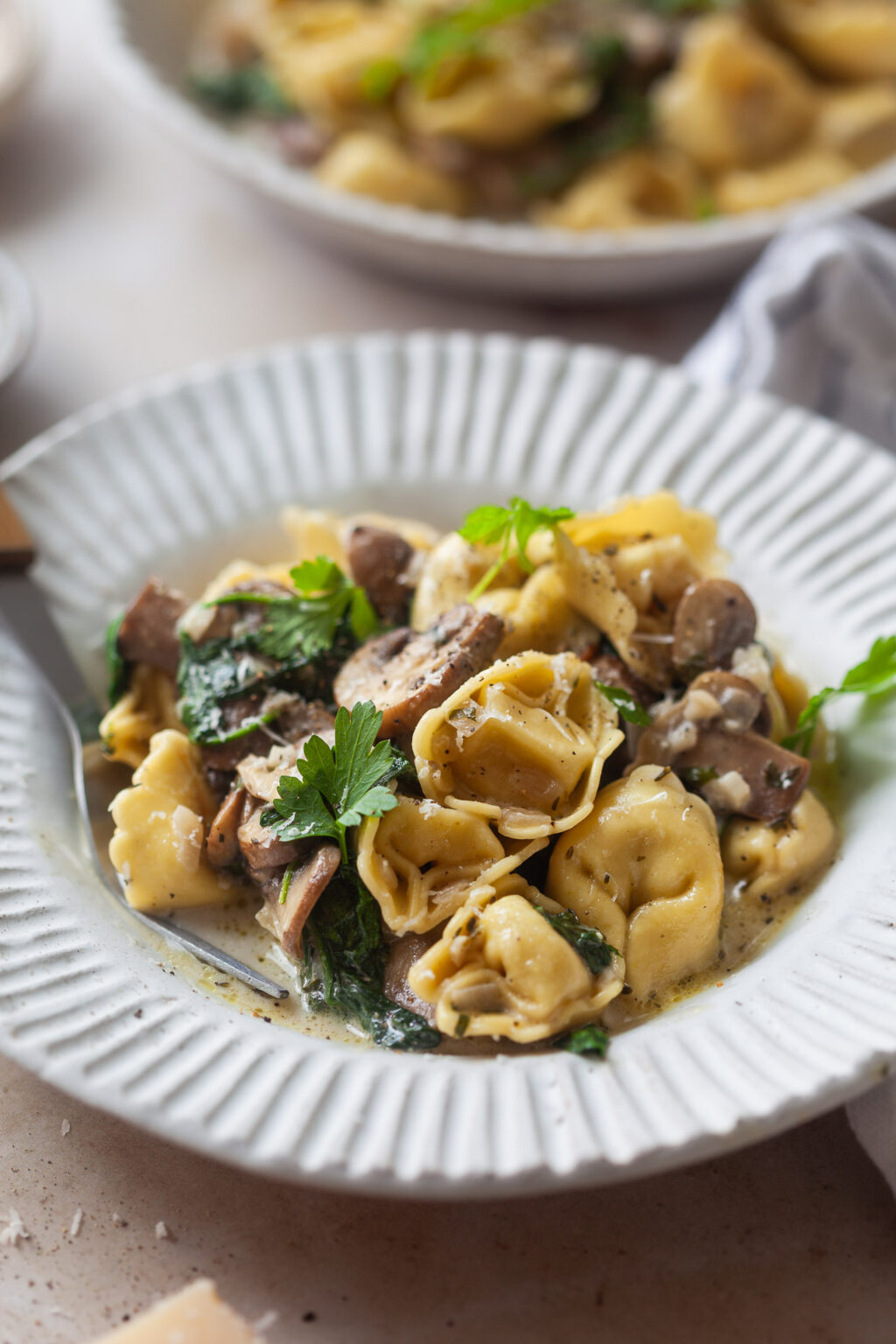 One-Pot Creamy Mushroom Tortellini - Vibrant plate