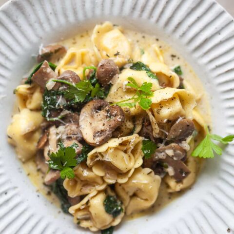 One-Pot Creamy Mushroom Tortellini - Vibrant plate