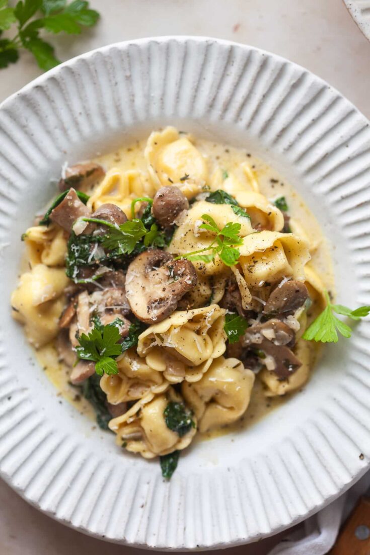 One-Pot Creamy Mushroom Tortellini - Vibrant plate