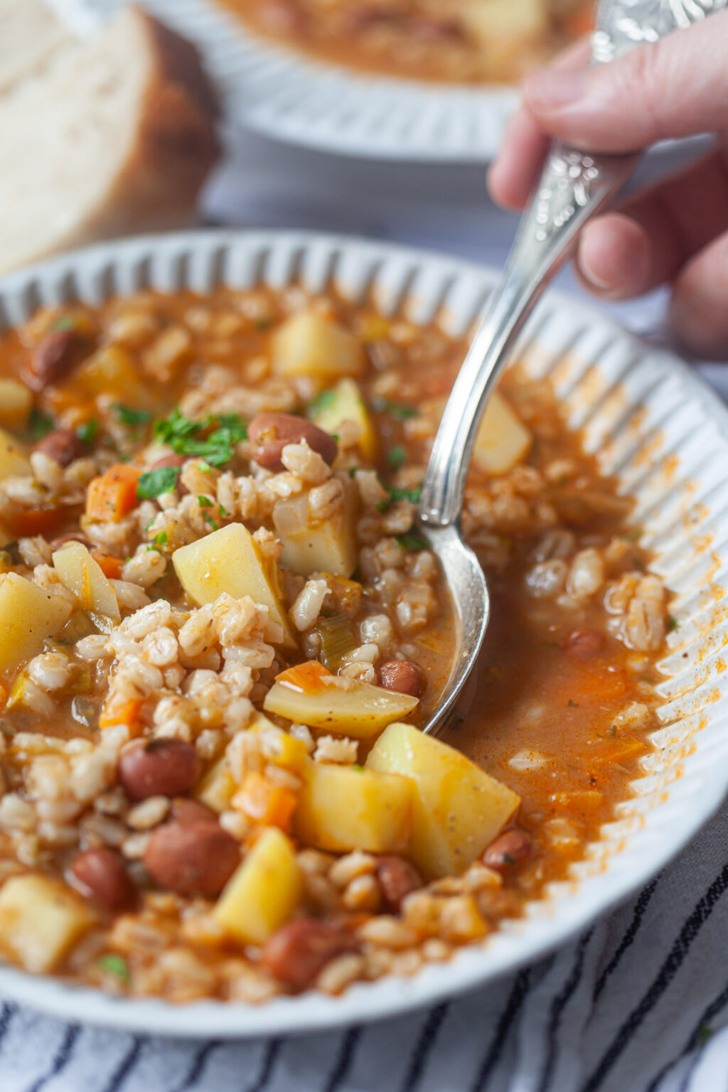 Vegan One-Pot Barley Stew - Vibrant plate