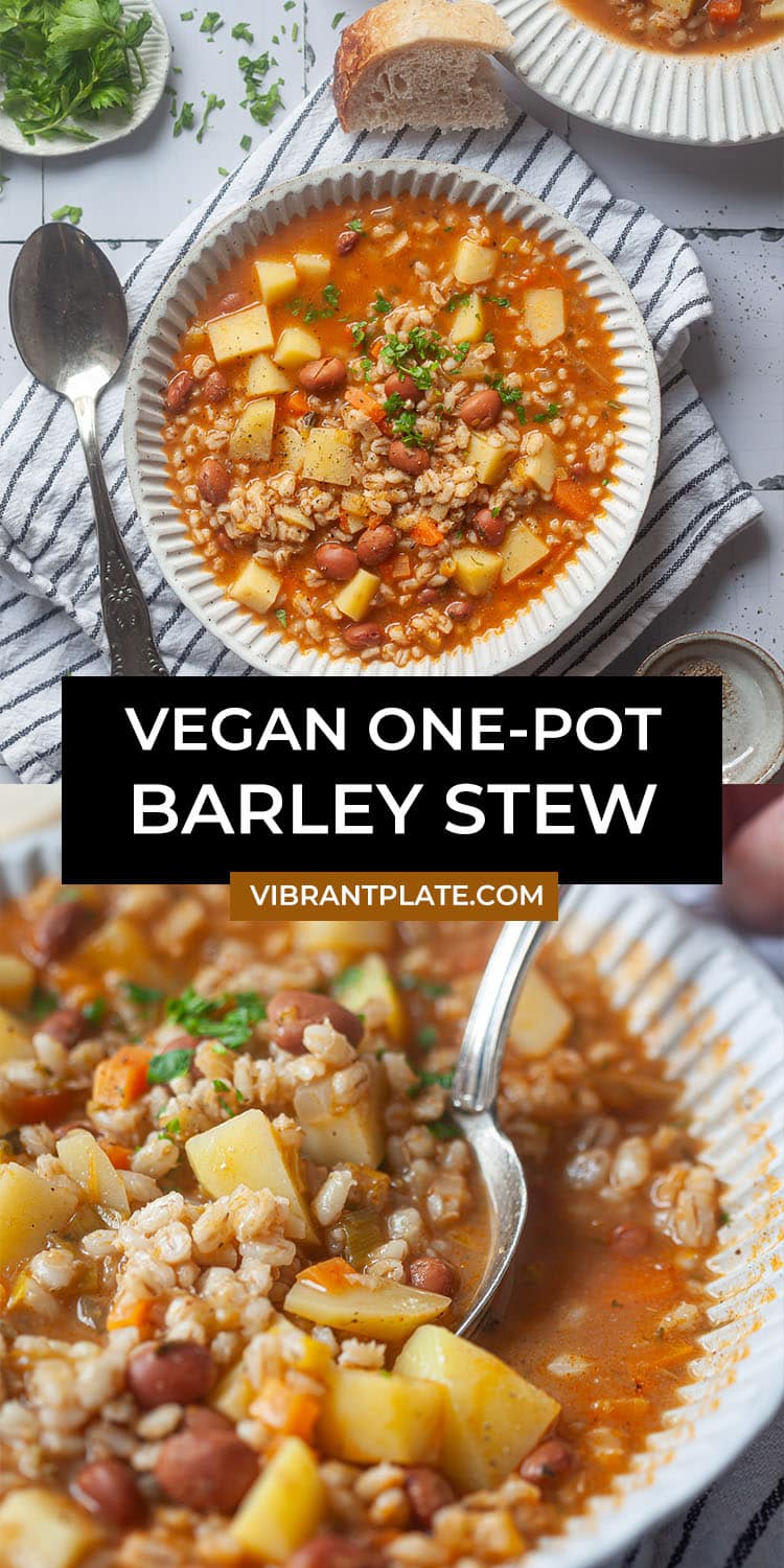 Vegan One-Pot Barley Stew - Vibrant plate