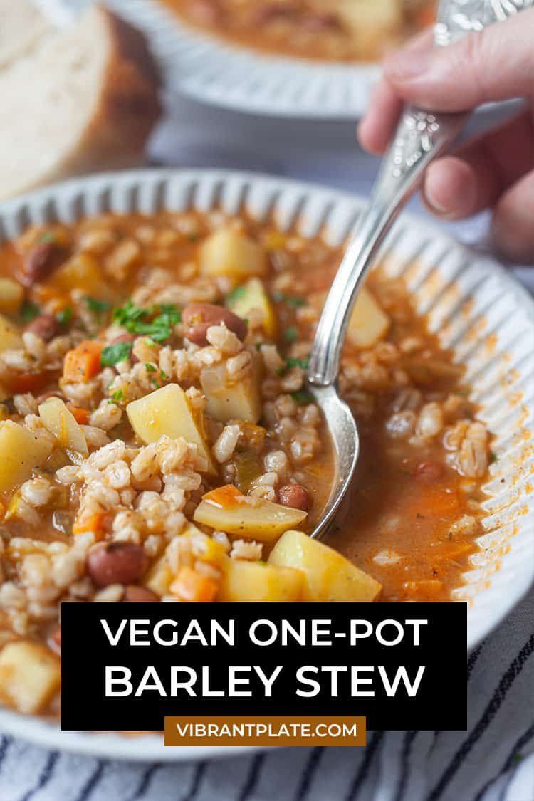 Vegan One-Pot Barley Stew - Vibrant plate