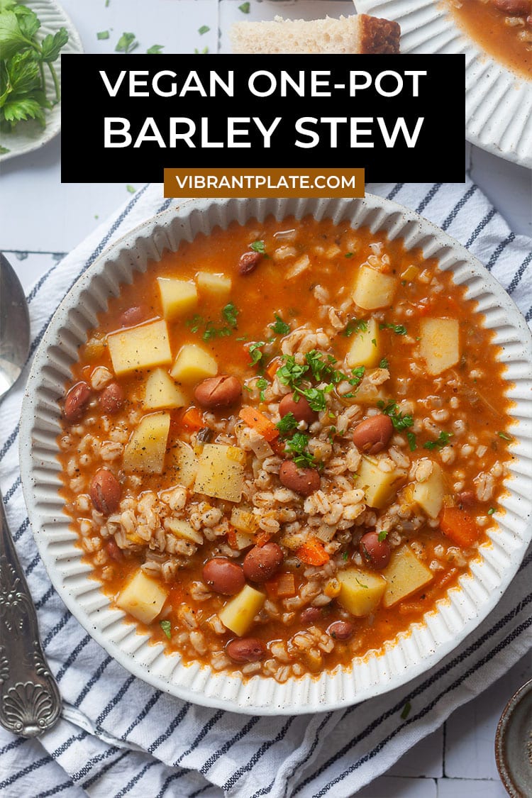 Vegan One-Pot Barley Stew - Vibrant plate