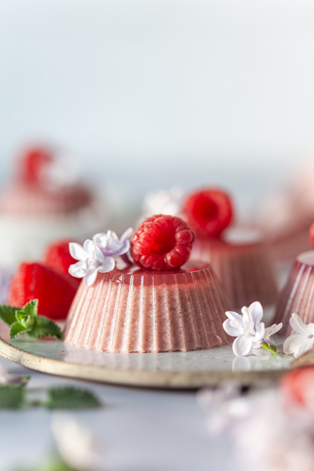 Vegan Raspberry Panna Cotta - Vibrant plate
