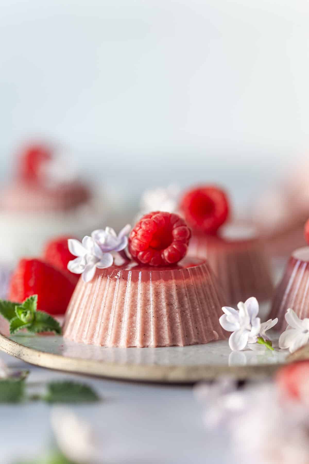 Vegan Raspberry Panna Cotta - Vibrant plate