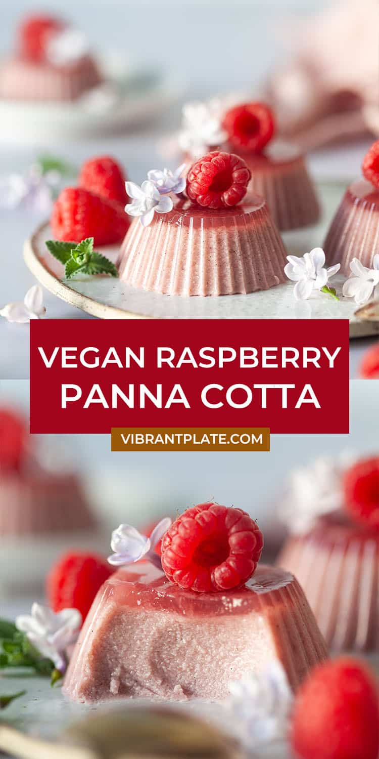 Vegan Raspberry Panna Cotta - Vibrant plate