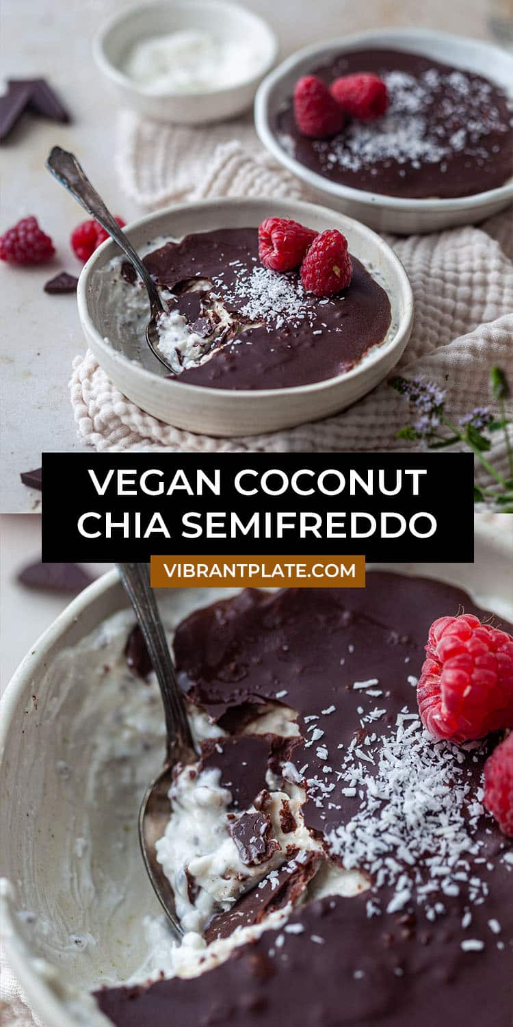 Vegan Coconut Chia Semifreddo - Vibrant plate