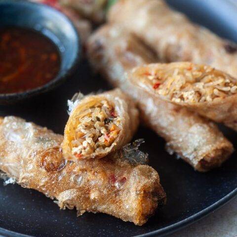 Vegan Spring Rolls with Mixed Salad - Vibrant plate