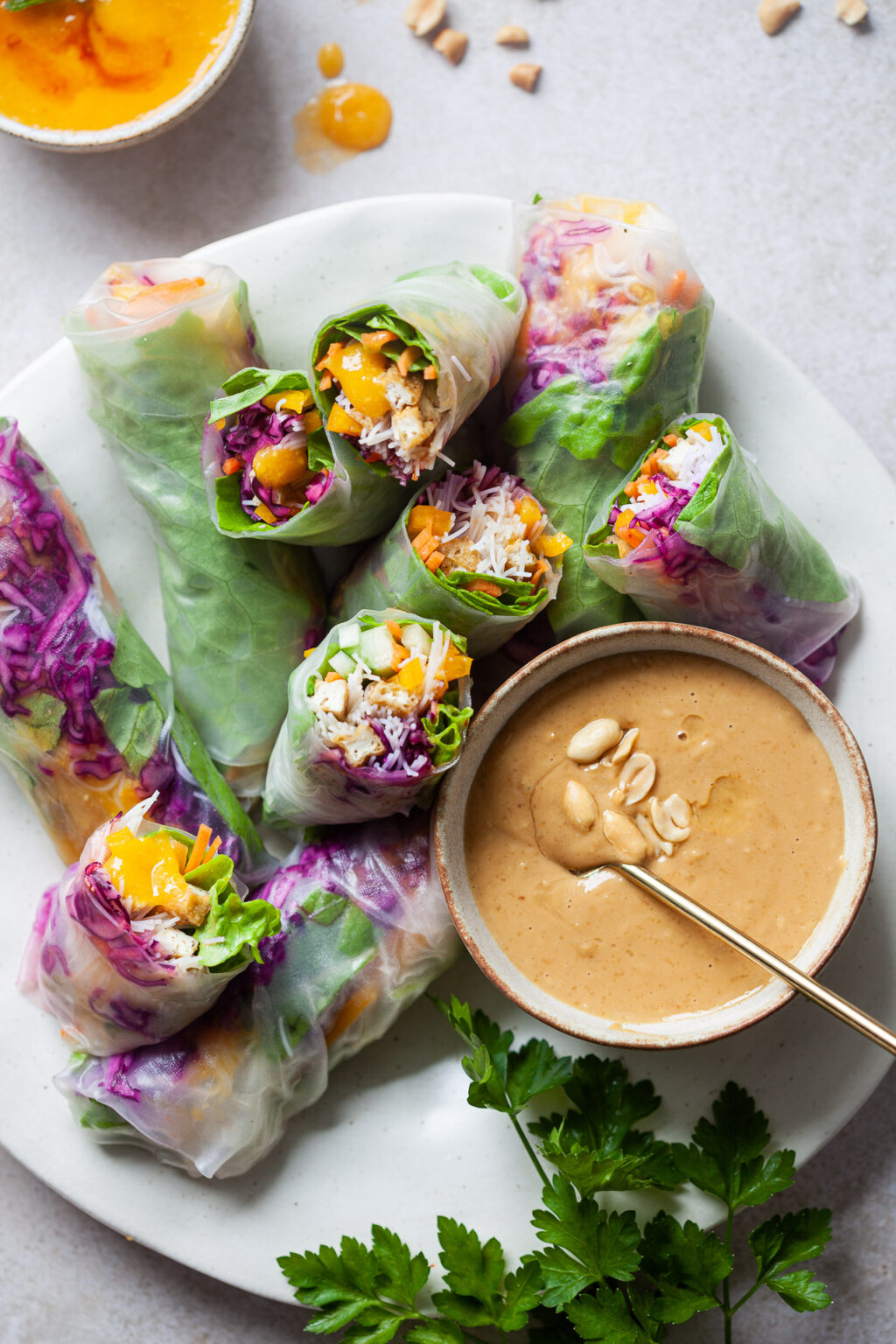 Easy Vegan Summer Rolls - Vibrant plate