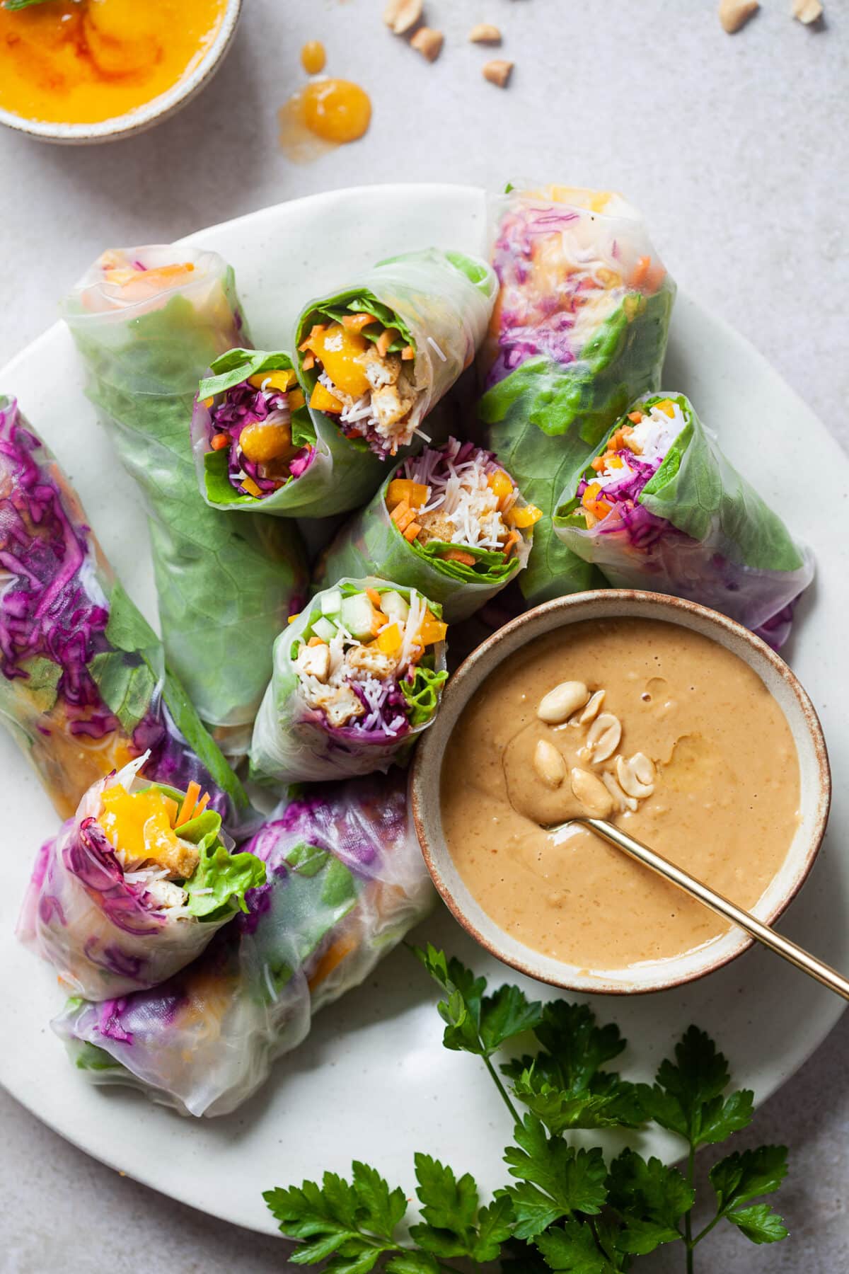 Easy Vegan Summer Rolls - Vibrant plate