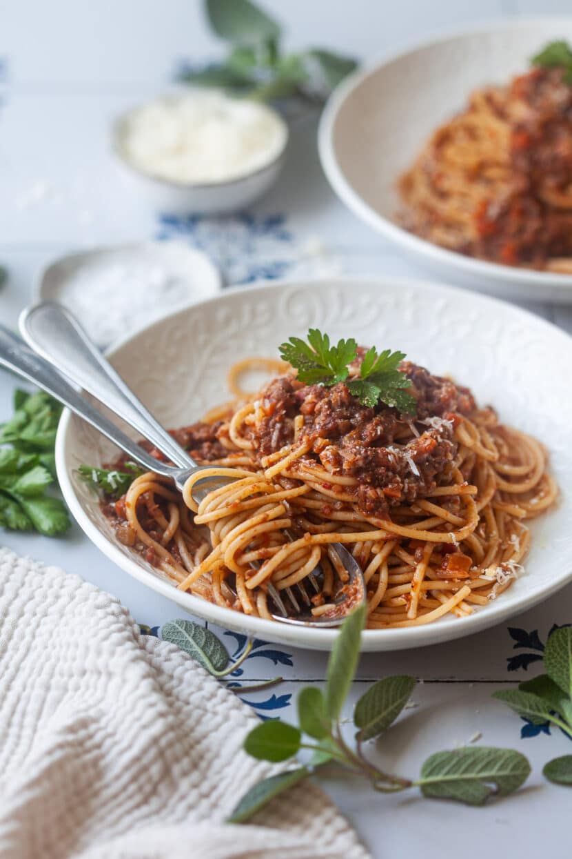 Vegan Spaghetti Lentil Bolognese - Vibrant plate